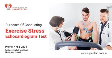 Purposes Of Conducting Exercise Stress Echocardiogram Test North Queensland Cardiac Clinic