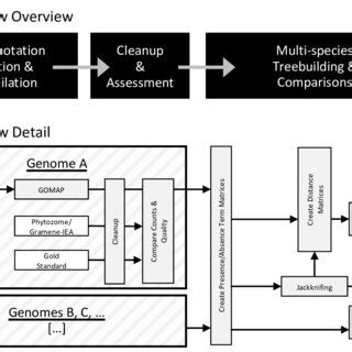 Data Workflow Schema The Workflow Overview Is Shown In Panel A With Download Scientific