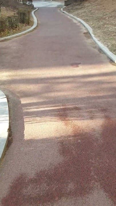 긍정확언 나의 다짐 나의 결심 나의 슬로건 성공메시지 긍정에너지 자성예언 청렴교육강사 청렴메신저 권수일 Youtube