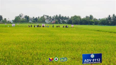 Da Car Partners With Private Companies In Conduct Of Prtf Herald Express News In Cordillera