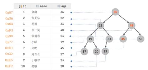 Mysql数据库详解mysql数据库分析 Csdn博客
