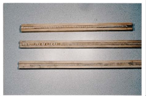 Prepared Increment Cores Ready For Dating Upper Middle And Lower