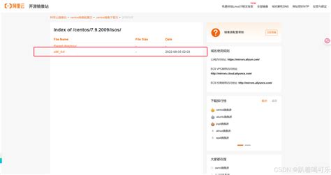 Centos的iso镜像下载 技术栈
