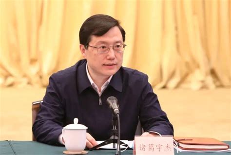 诸葛宇杰任湖北省委副书记 新闻 聚焦东方 中国发展网 中国发展改革报社主办