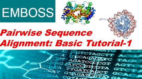 Pairwise Sequence Alignment I Bioinformatics Basic Tutorial Youtube