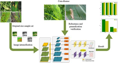 Rice Leaf Disease Detection Based On Enhanced Feature Fusion And Target Adaptation Li 2024