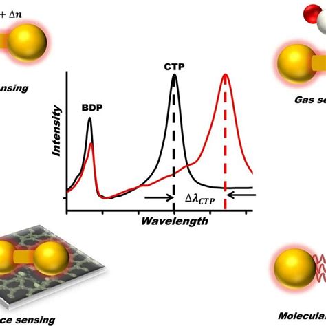 Illustration Of Sensing Principles Based Charge Transfer Plasmon Download Scientific Diagram