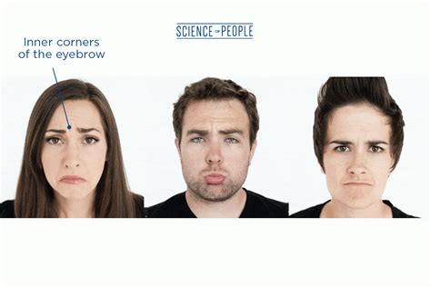 Guide définitif de la lecture des 7 micro expressions expressions