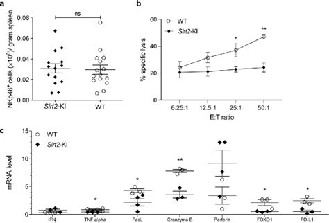 Sirt2 Overexpression Suppresses Nk Cell Function Ex Vivo Nk Cells Were
