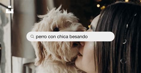 Imágenes De Perro Con Chica Besando Descarga Imágenes Gratuitas En