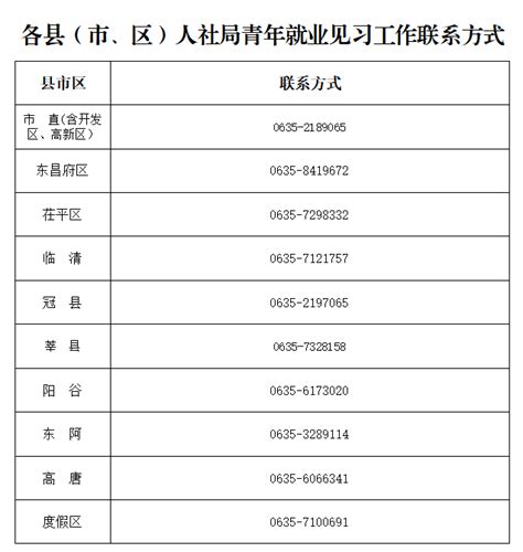 1641个聊城市公布2023年第二批见习就业岗位 青年 附件 活动