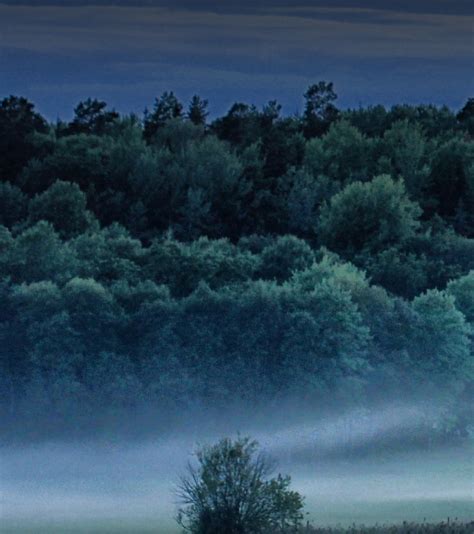 Bcg Next Frontier In Carbon Credits