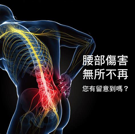 我塑我形 高爾夫美體護腰帶一件組 Pchome 24h購物
