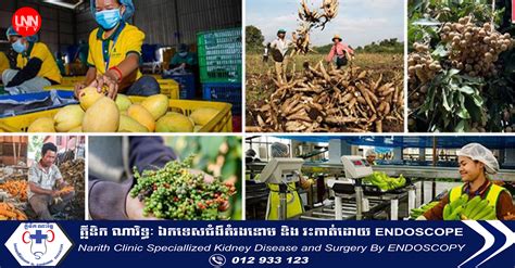 ការនាំចេញកម្ពុជារកចំណូលបានជាង ២២ពាន់លា នដុល្លារក្នុងឆ្នាំ ២០២៣