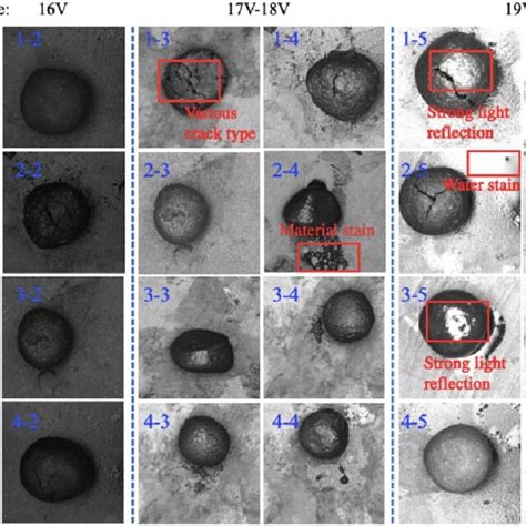 Example Of Dataset With Green Pellet Images Online Version In Color