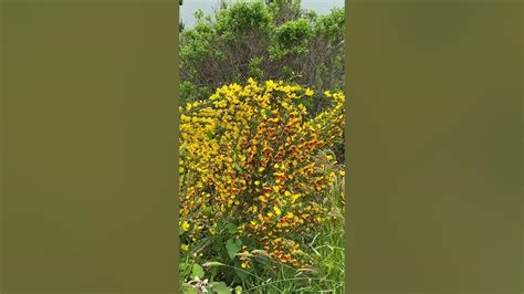 At The Beach Youtube