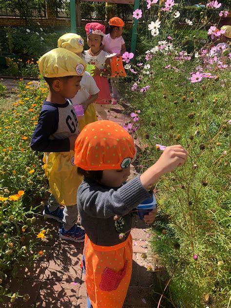 Ахлах В бүлгийн Чингэлтэй дүүргийн 9 дүгээр цэцэрлэг