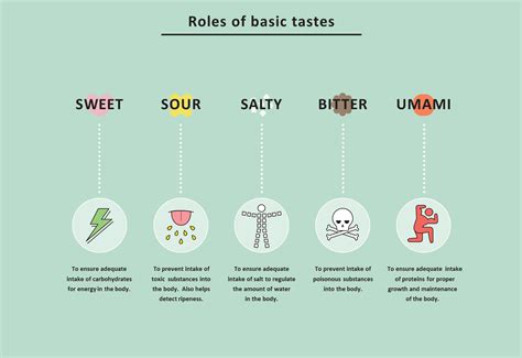 What Are The Five Basic Tastes Everything About Umami Umami Ajinomoto Group Global