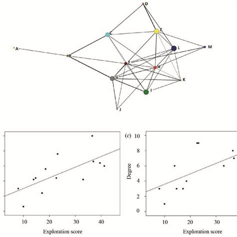 A Visualization Of The Social Network With NetDraw Borgatti 2002
