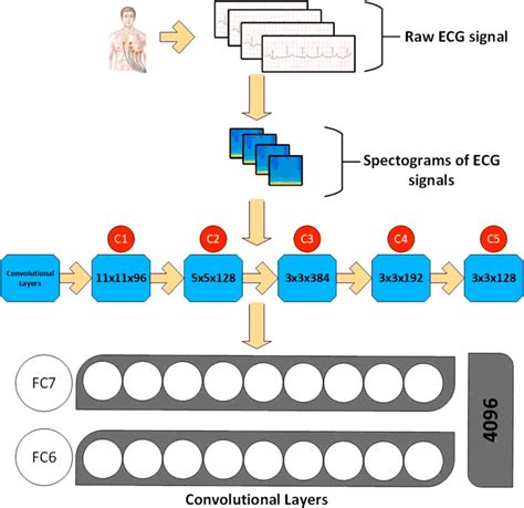 Cnn Structure Used In This Work Download Scientific Diagram