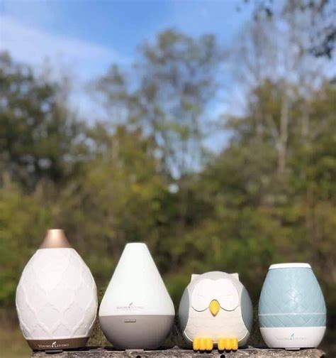 Ready For A Cute Diffuser The Pennington Point