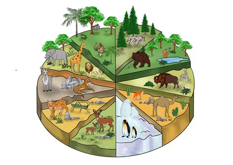 Download Geography Map Distribution Royalty Free Stock Illustration Image Pixabay