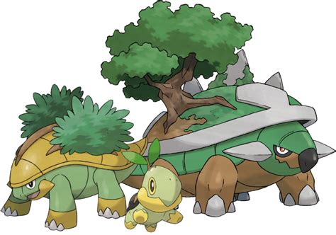 Grotle Pokemon Shell Armor Grass Type Evolved Form Starter