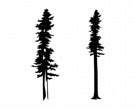 Redwood Tree Svg Redwood Tree Clipart Redwood Tree Png Etsy Redwood Tree Tree Svg Tree Clipart