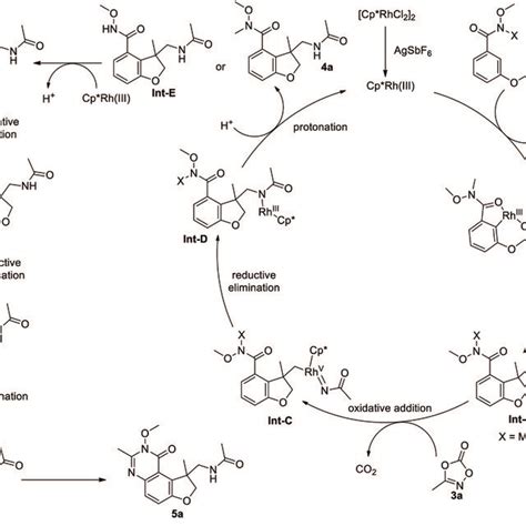 Substrate Scope Of Tandem Annulative Arylationamidation Reaction Of