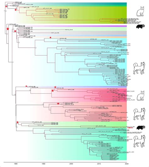 time scaled bayesian maximum clade credibility tree for the