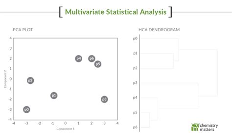 Courtney Sandau On Linkedin Want To Find Errors In Your Data Start Analyzing It