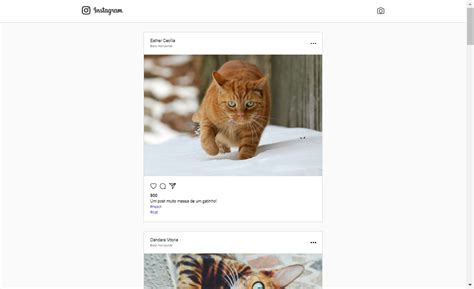 GitHub EstherCecilia Frontend Instagram React