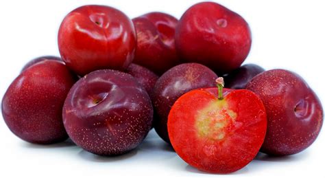 Flavor Royale Pluots Information And Facts