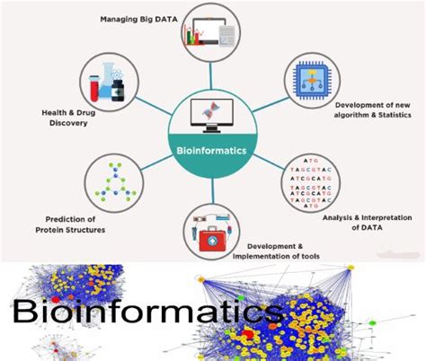 Bioinformatics Platforms Market Is Booming Worldwide 2023 2030 Affymetrix Inc Dassault