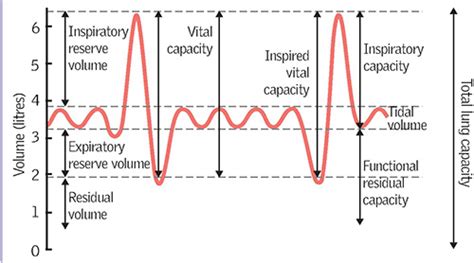 Spirometry Chart Normal Readings Pulmonary Function Test The Value Among Smokers And