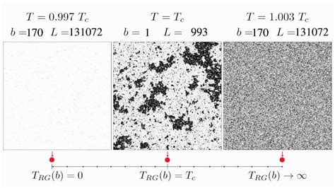 Beyond Mean Field Theory The Renormalization Group Idea Qisland