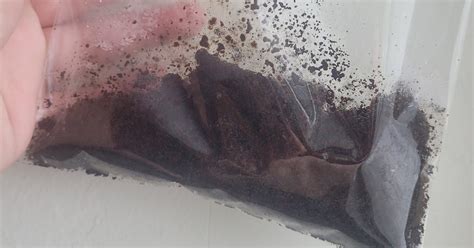 꿉꿉한 장마철 ‘커피 찌꺼기 그냥 버리지 마세요 모리잇수다