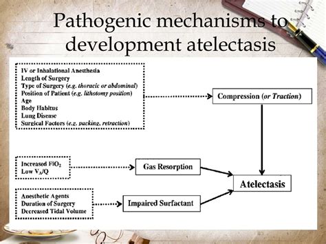 Ppt Pulmonary Atelectasis Powerpoint Presentation Free Download Id 193793