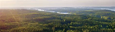 New Forest Management Model For Metsä Groups Wood Supply To Boost The Forest Biodiversity