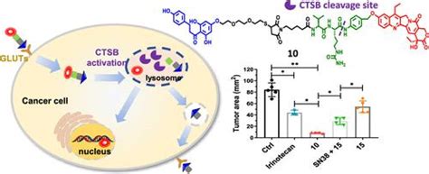 Sn Journal Of Medicinal Chemistry