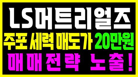 Ls머트리얼즈 투자경고 마지막 매수 기회 전재산 베팅 Youtube