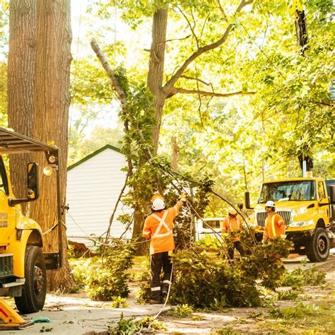 Real Experience For Real Life With A Really Fabulous Employer 💪 Calling Emerging Trades People