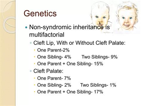 Cleft Lip And Palate Basics Pptx