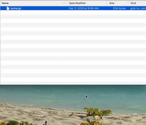 A Recursive Gzip File Decompresses Indefinitely Using Archive Utility