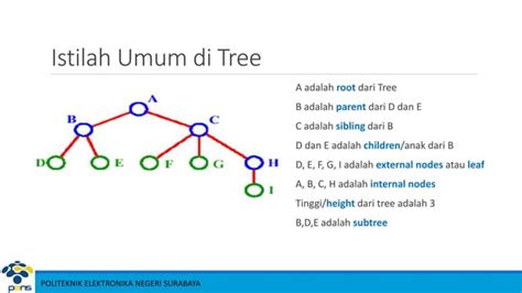 12 Tree Pptx Pre Order Inorder Post Order Ppt