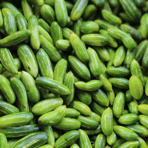 Buy Organic Tindli In Mumbai Zama Organics