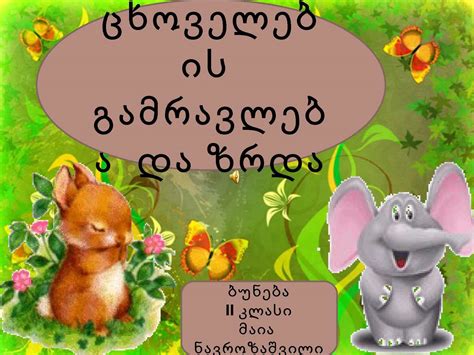 ცხოველების გამრავლება გაკვეთილი Calameo Downloader