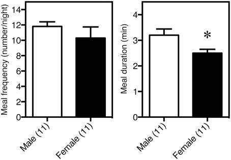 Sex Difference In Feeding Behavior Determined With An Automated Download Scientific Diagram