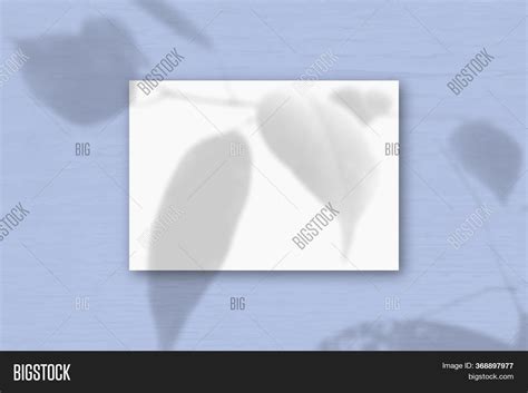Horizontal A Sheet Image Photo Free Trial Bigstock