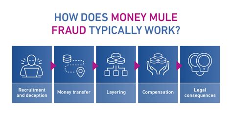 Money Mules A Complete Guide Experian